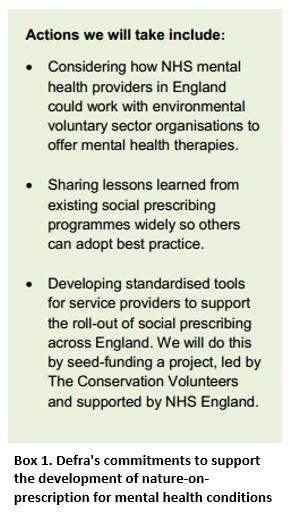 Funding awarded to develop a nature-on-prescription intervention for ...