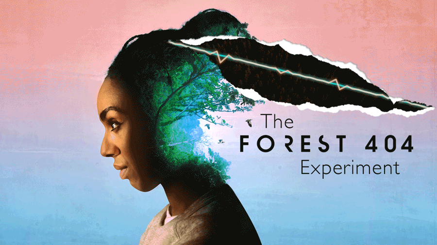 The Forest 404 experiment | Beyond Greenspace