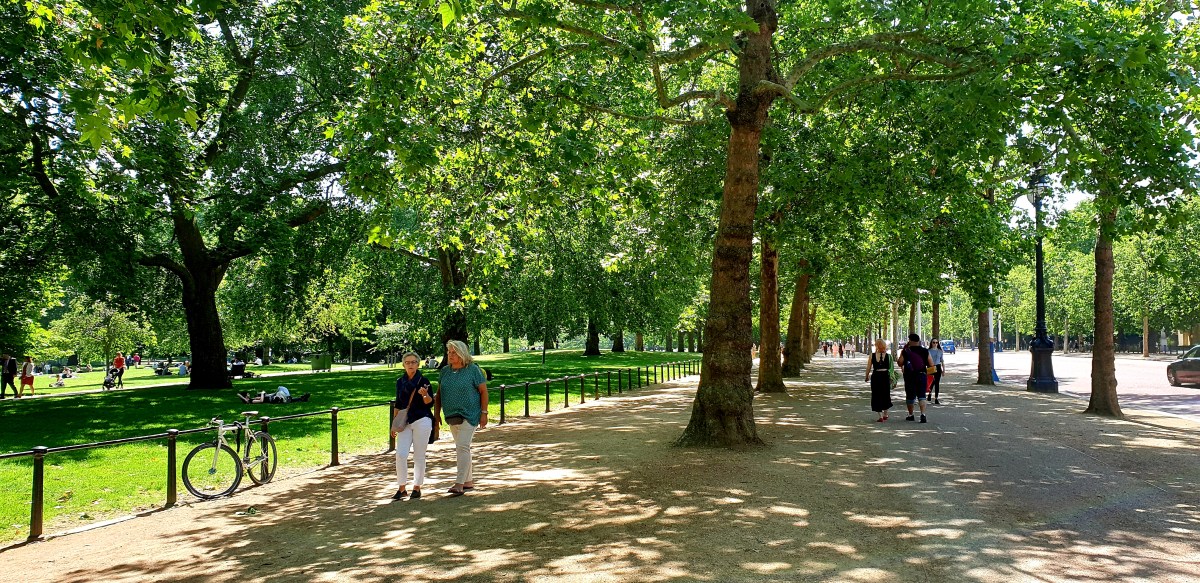 New 3.5 year nature based solutions research post at ECEHH | Beyond ...